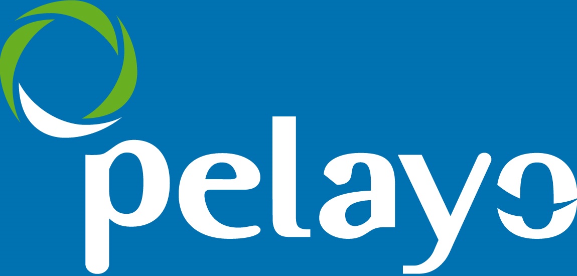 La presencia de la Pelayo en los medios -Grupo Pelayo